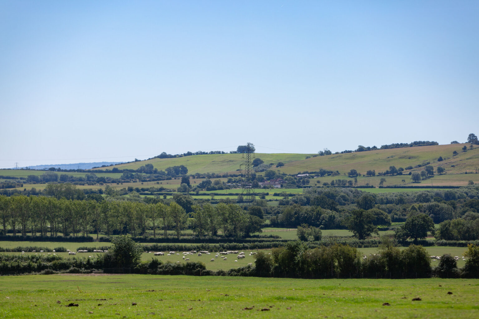 Becoming a member of the Countryside Stewardship Scheme - Claydon Estate